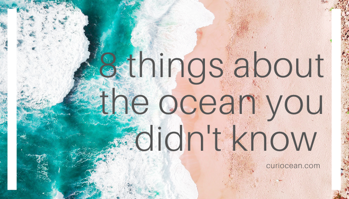8 things about the ocean you didn't know – CuriOcean